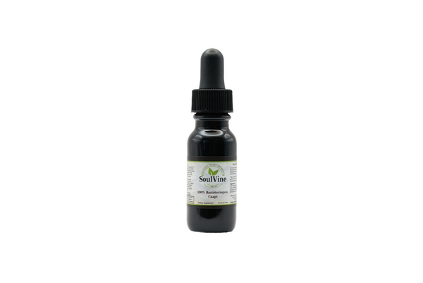 "Banisteriopsis Caapi Extract" Banisteriopsis Caapi 15ml – The Soul Vine